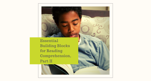 Essential Building Blocks for Reading Comprehension
